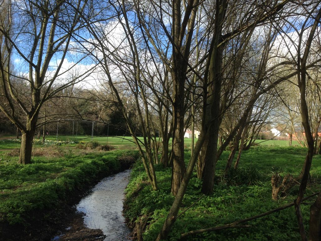 Chinbrook Meadows and the River Quaggy - Grove Park Community Group